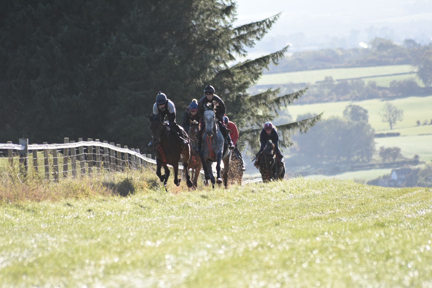 Five to Follow Competition - Nicky Richards Racing