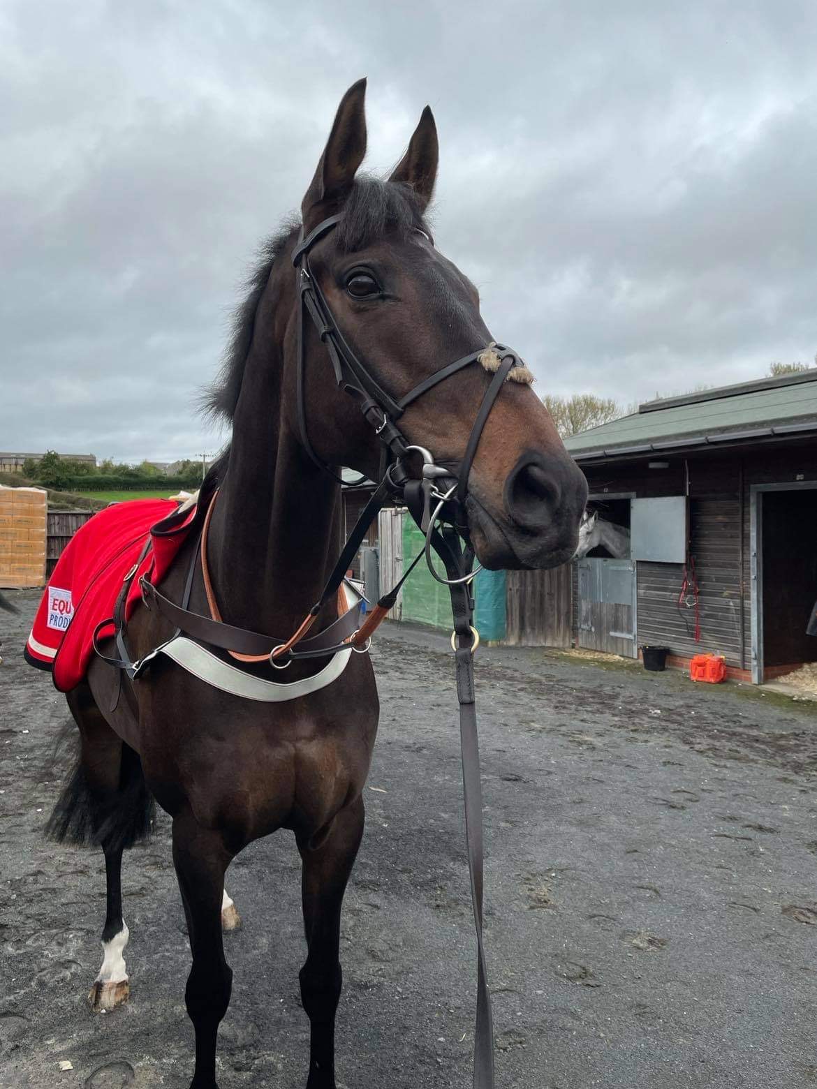 Merry Christmas - Nicky Richards Racing