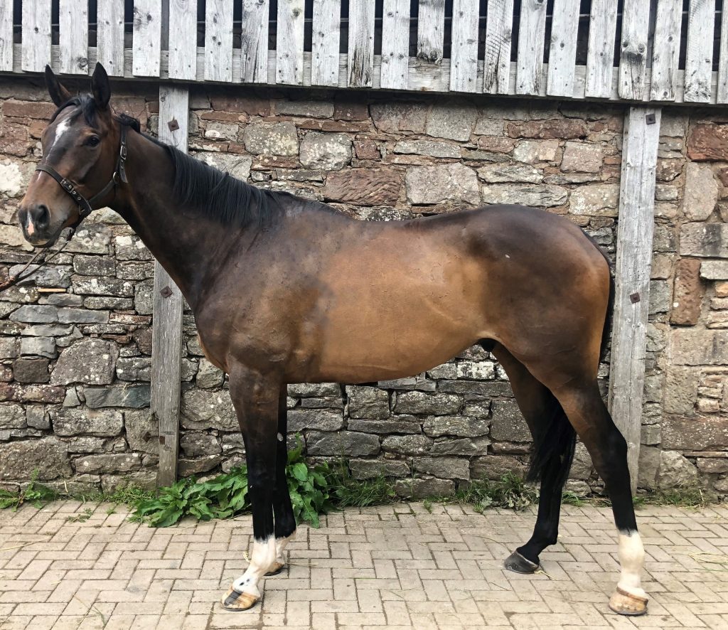 First Winners of the Season - Nicky Richards Racing