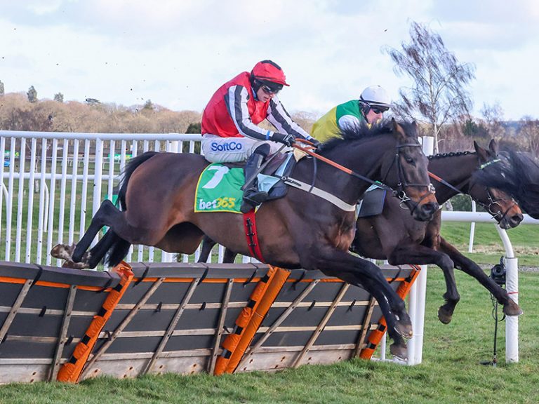 Horses in Training - Nicky Richards Racing