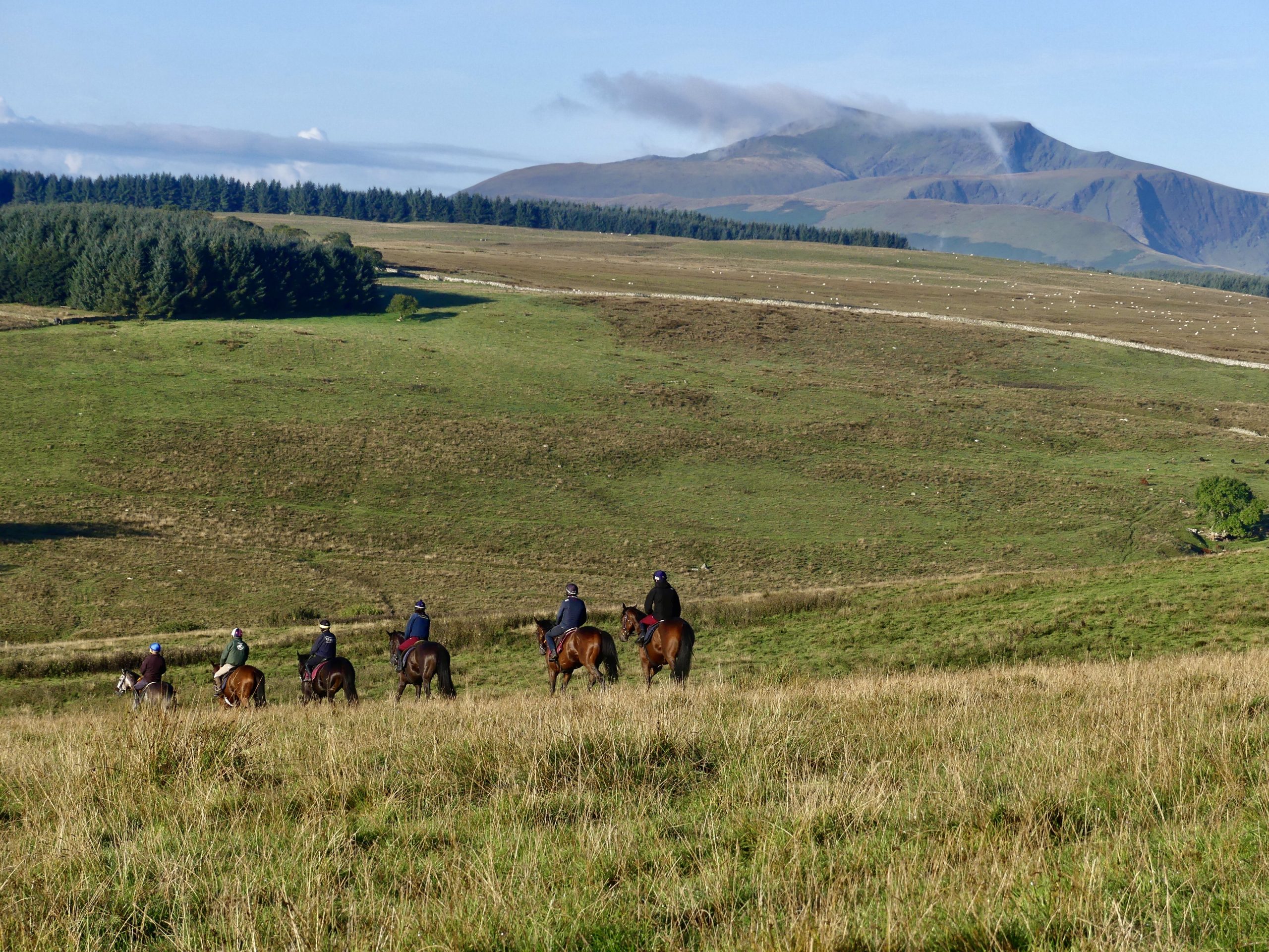 Five to Follow Competition - Nicky Richards Racing