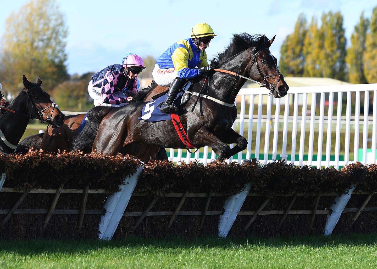 Racehorse Syndicates - Nicky Richards Racing