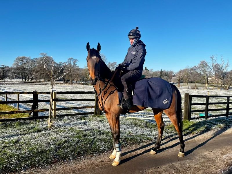 Highs and Lows - Nicky Richards Racing