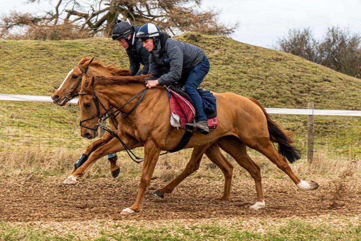 Runners Roundup - Nicky Richards Racing