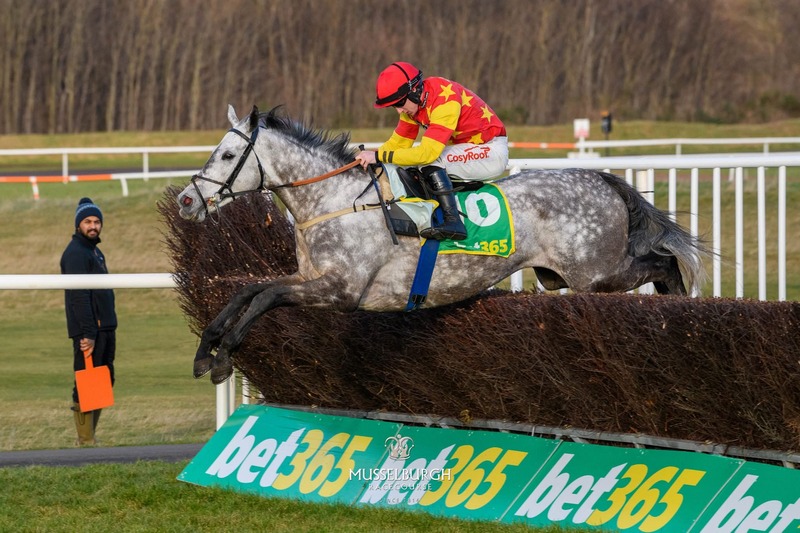 Nicky Richards Racing - Premier Northern National Hunt and Flat Trainer ...